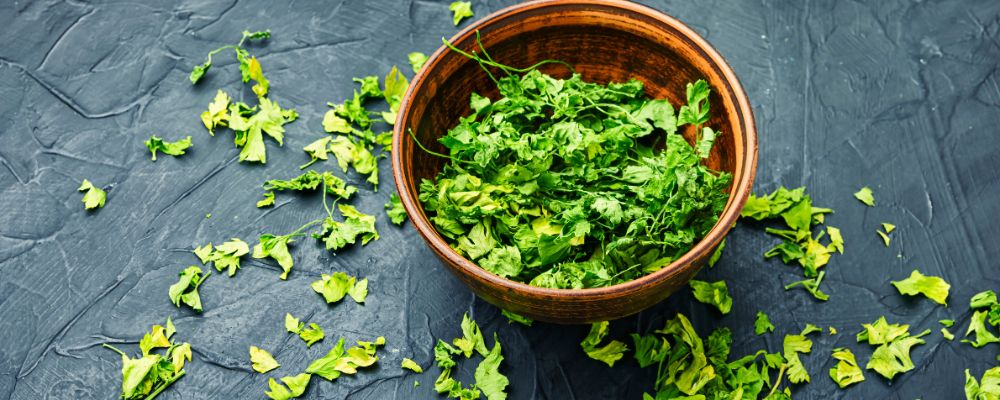 Parsley Leaves Benefits For Health And Wellness